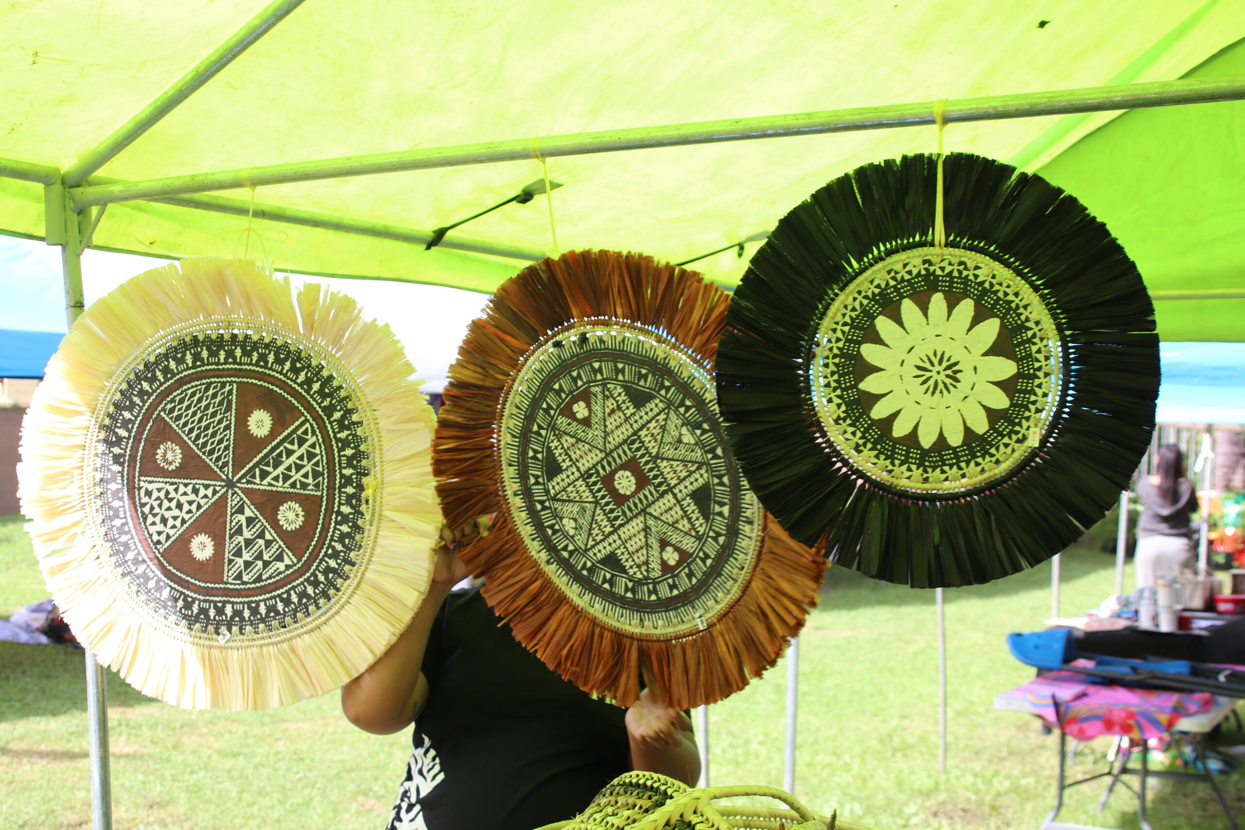 Gallery – Fiji Arts Council